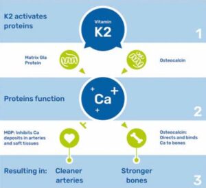 Unlocking the Benefits of Vitamin K2: Clearing Arterial Calcium and ...
